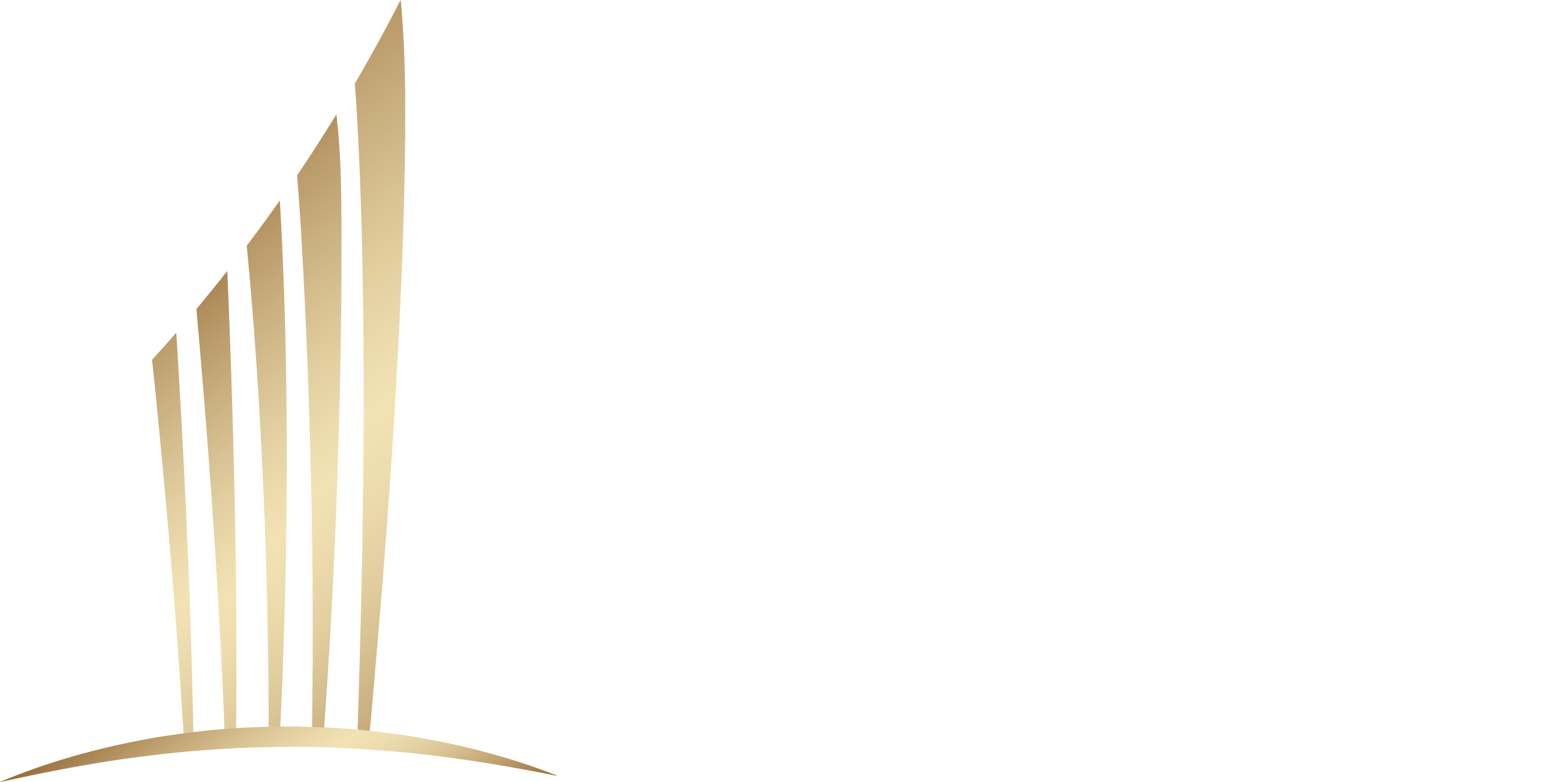BPS ASSET GROUP