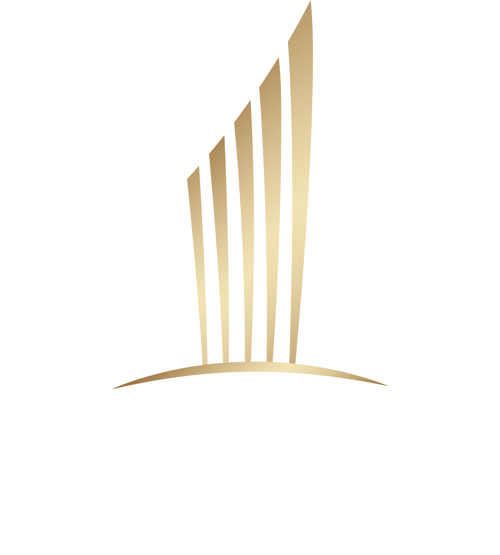 BPS ASSET GROUP